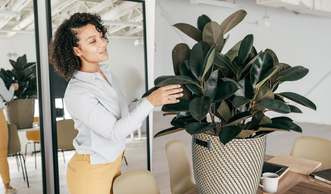 Know the Vibes of Your Location - Prime Psychic